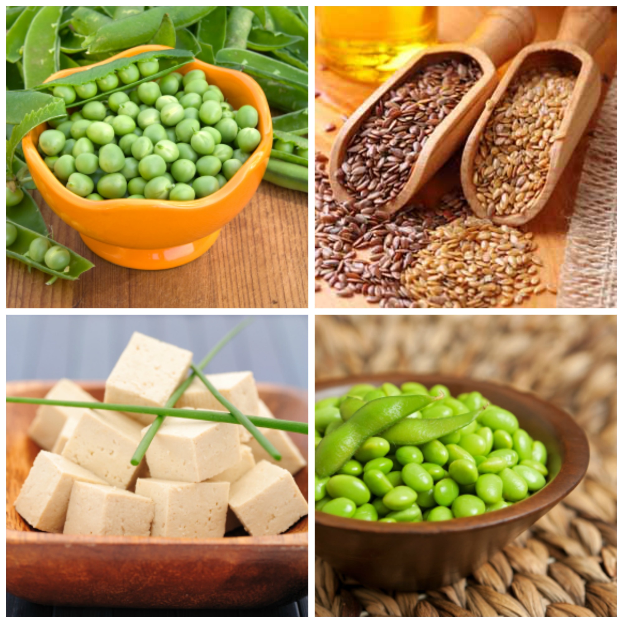12 Non-Meat Protein Sources for Kids | Healthy Ideas for Kids